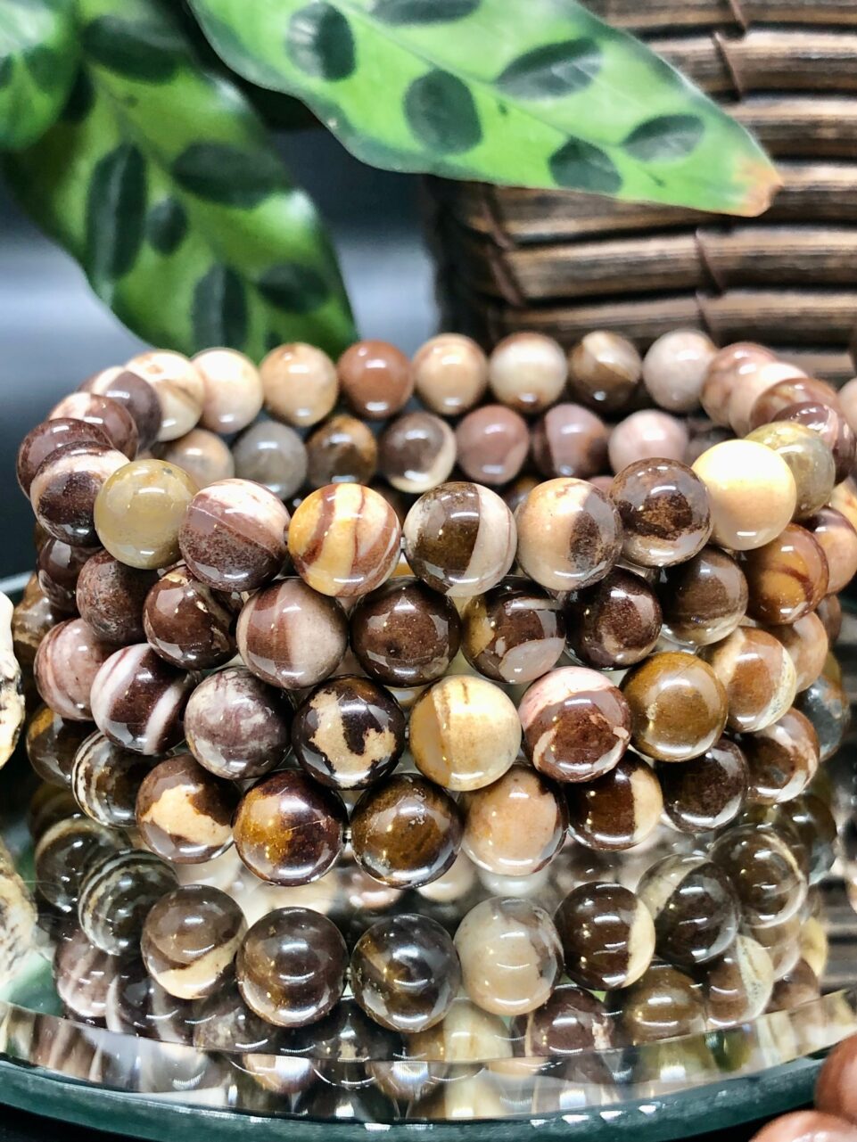 8mm zebra Jasper – Shop Iowa