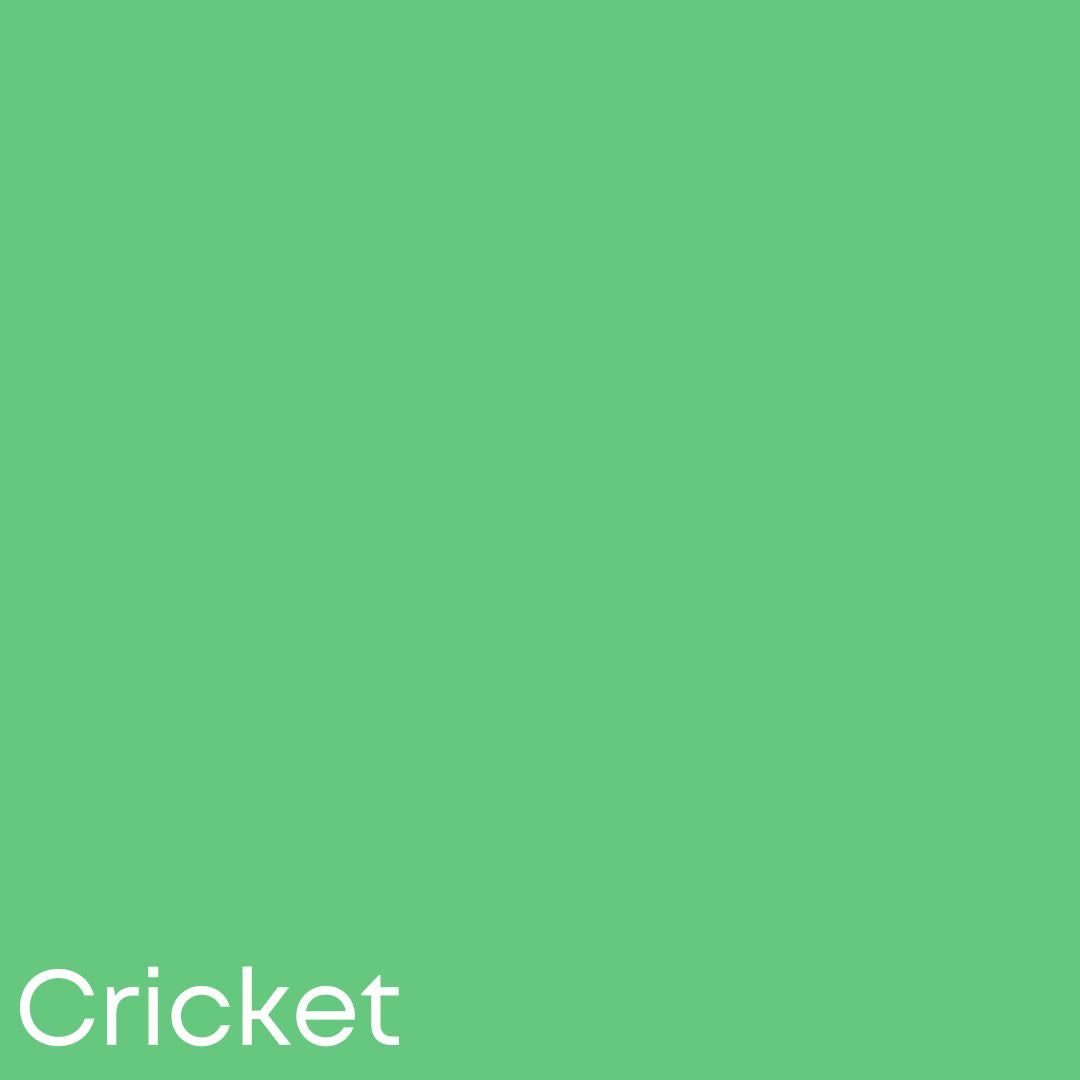 Tula Pink Cricket Green Designer Essentials Solid Fabric 15″ REMNANT ...