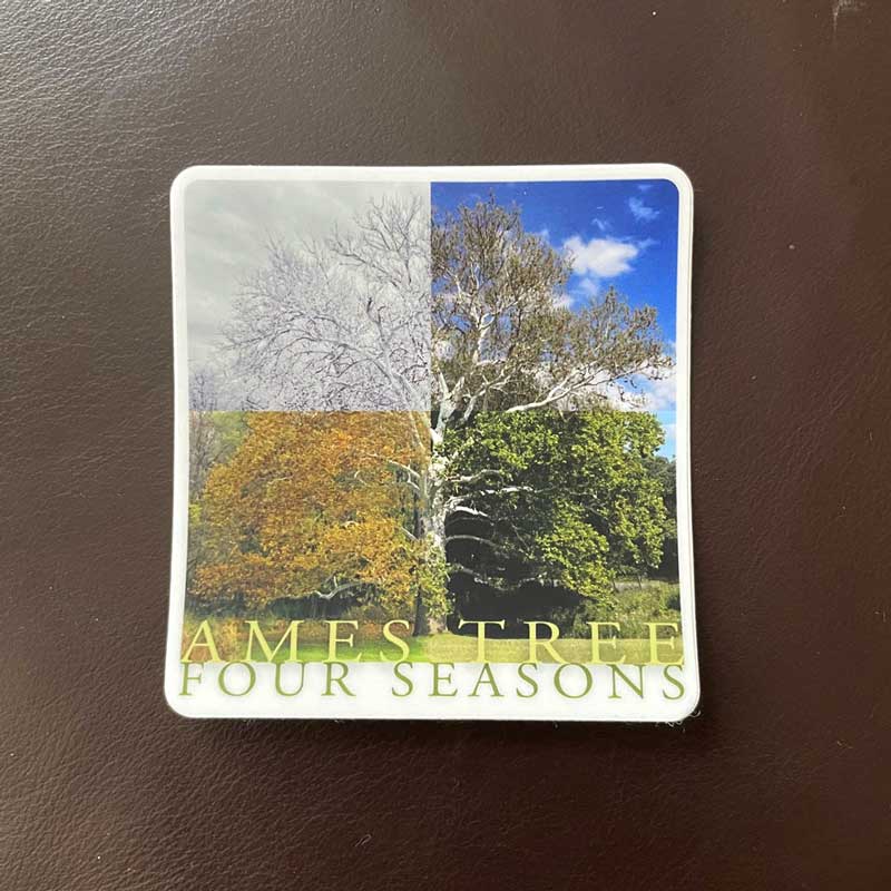 Ames Tree Sticker – Shop Iowa